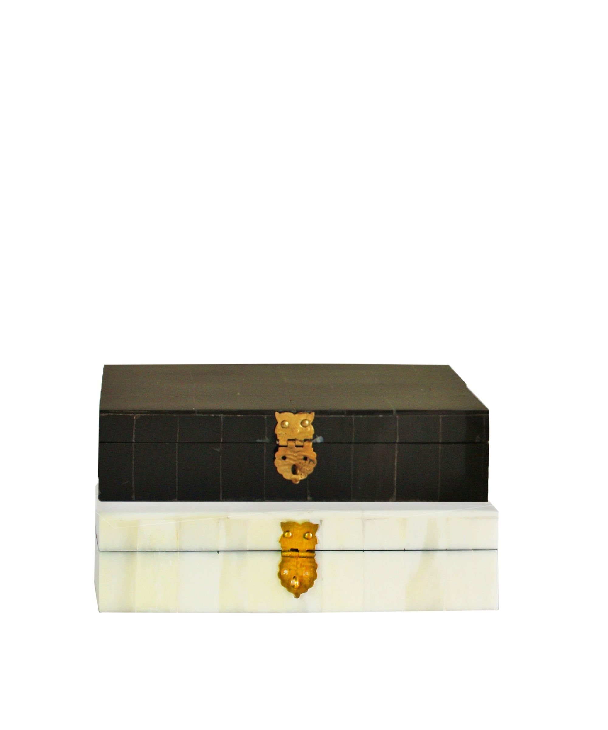 Bone Storage Boxes with Brass Latch – High Street Market