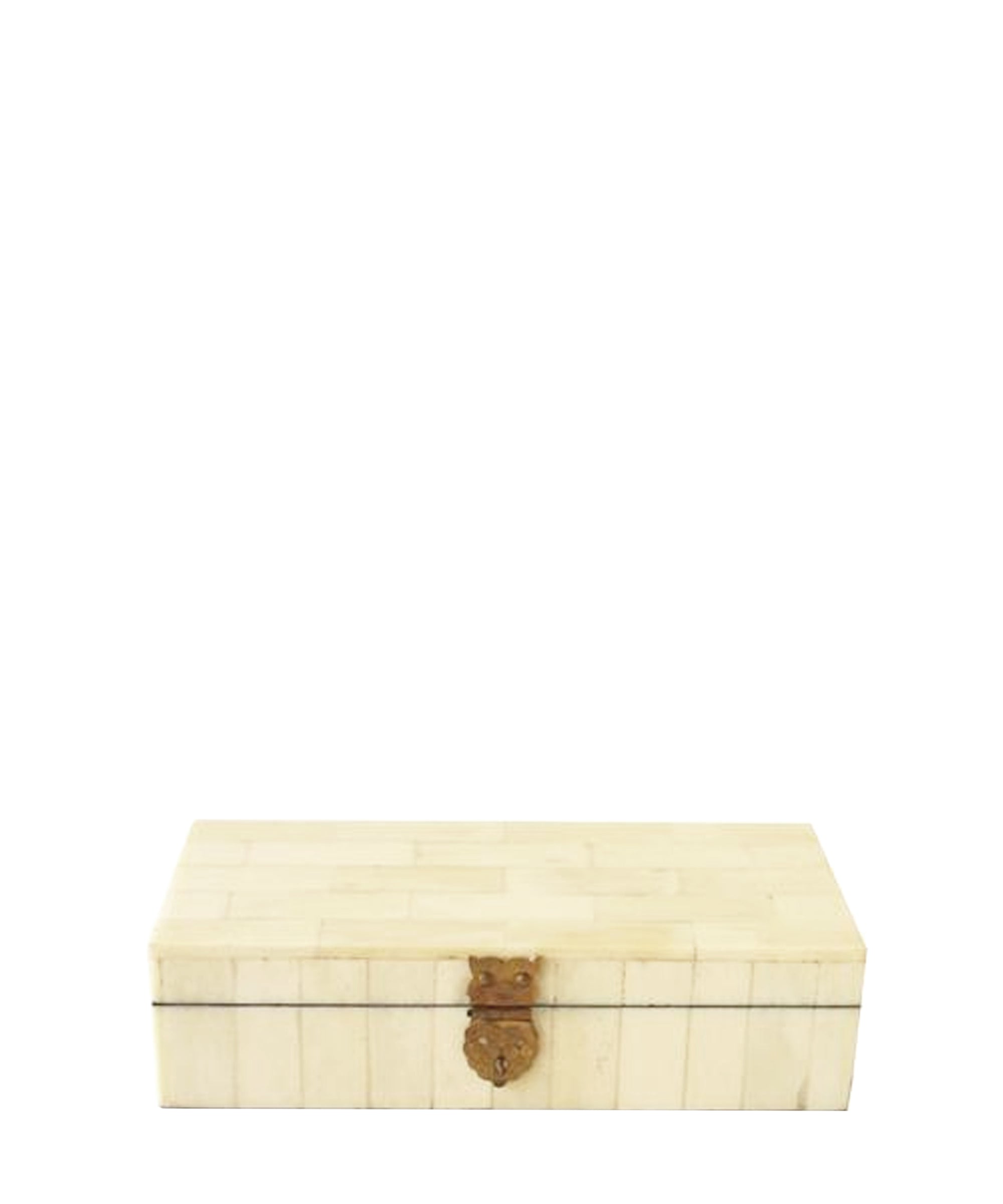 Bone Storage Boxes with Brass Latch – High Street Market