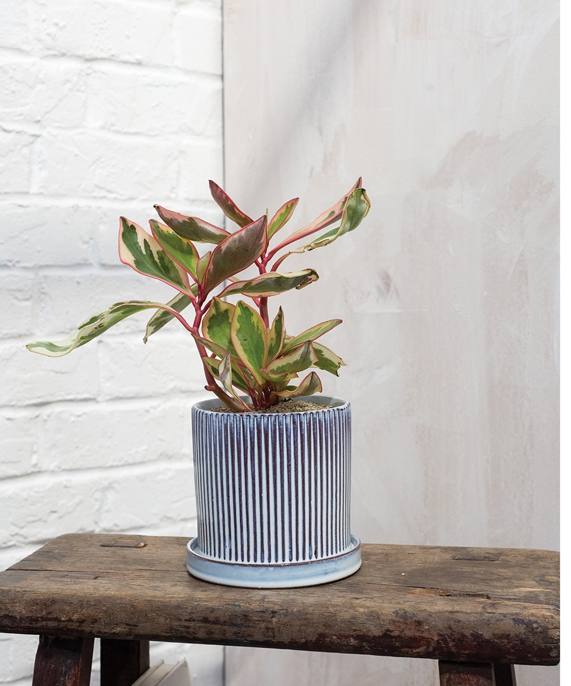 Culver Ridge Planter – High Street Market