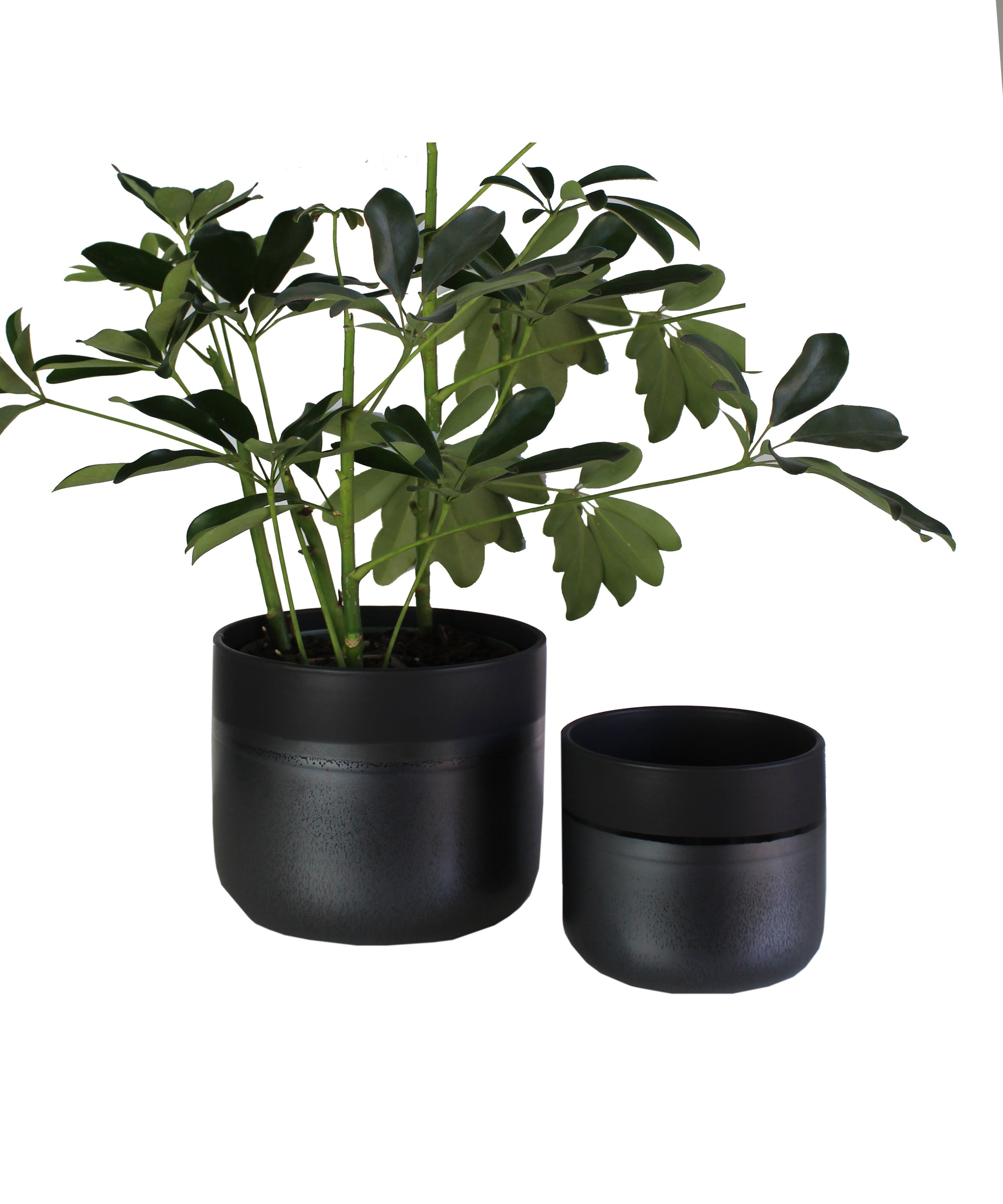 Dipped Matte Ceramic Planter, Black – High Street Market