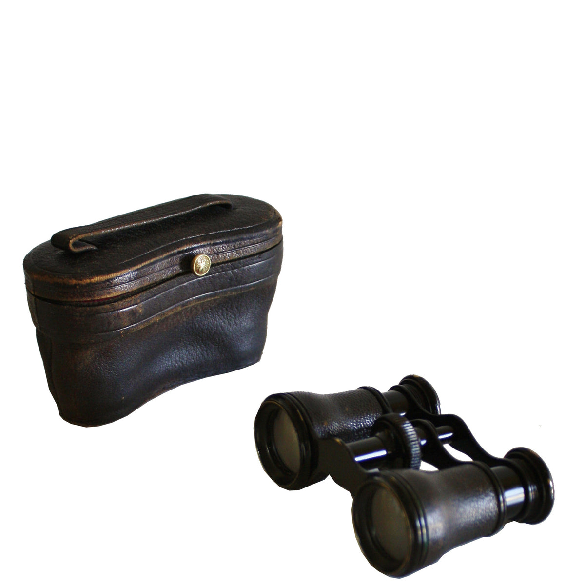 leather binoculars case